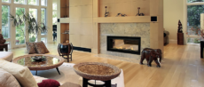 Indoor Gas Fireplaces - Savannah Heating